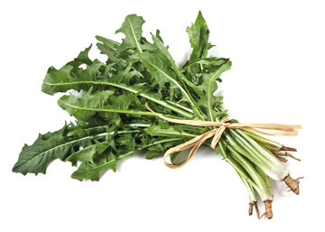 Cicoria busta linea selezione qualità 500 gr